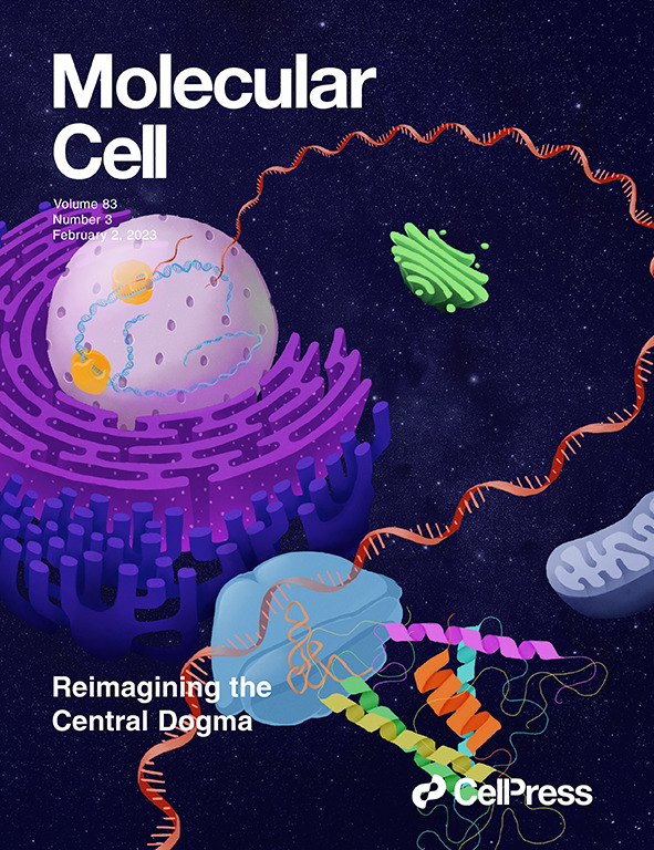 陈玲玲研究员受邀Molecular Cell专题采访：非编码RNA在中心法则中的地位--中国科学院分子细胞科学卓越创新中心